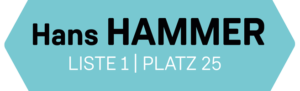 Hans Hammer – In den Münchner Stadtrat